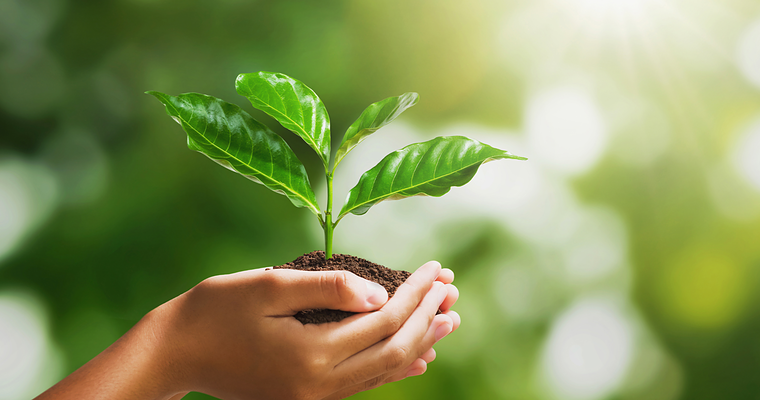 Google Rolls Out New Eco-Friendly Search Filters Google Rolls Out New Eco-Friendly Search Filters